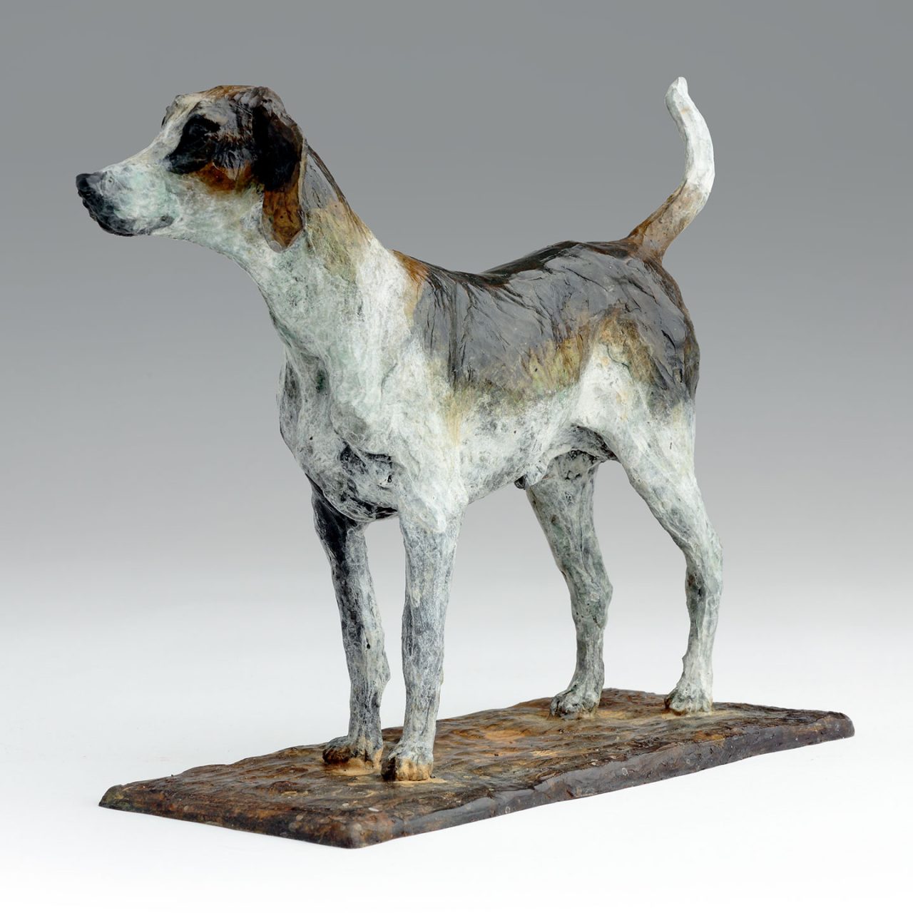 English Fox Hound | Belinda Sillars